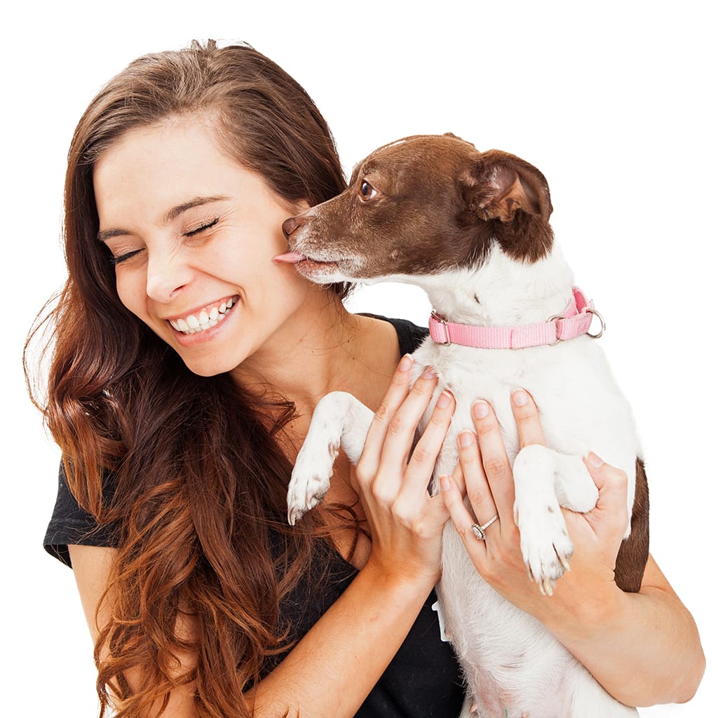 Dental Care for Pets | Petosan – World Leader in Pet Dental Care